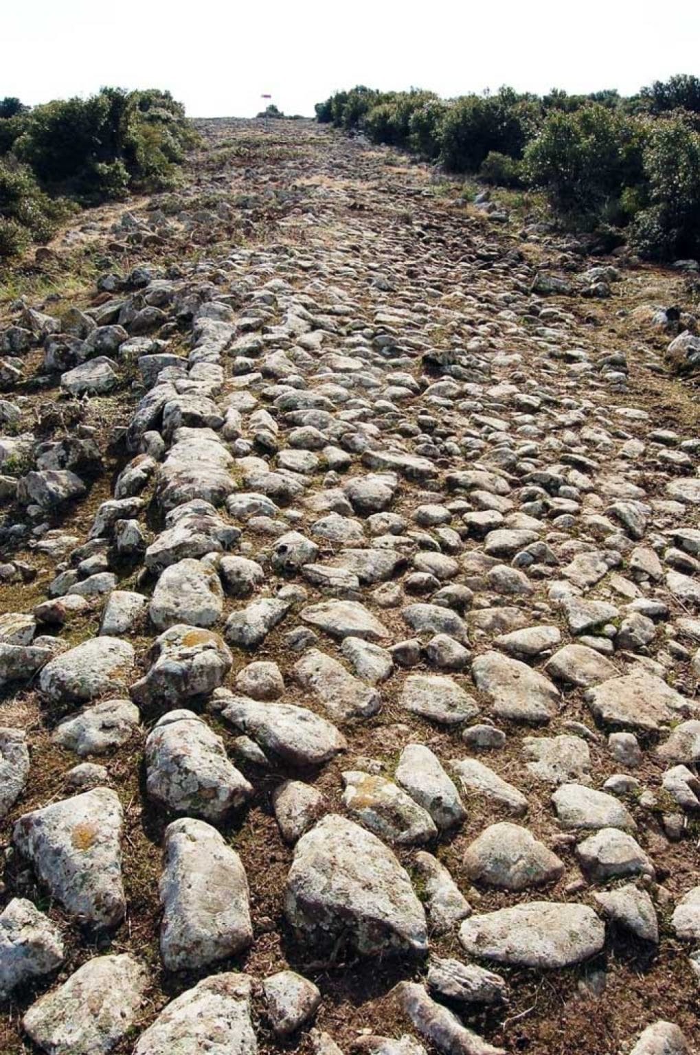 History - Ethnological Museum of Thrace